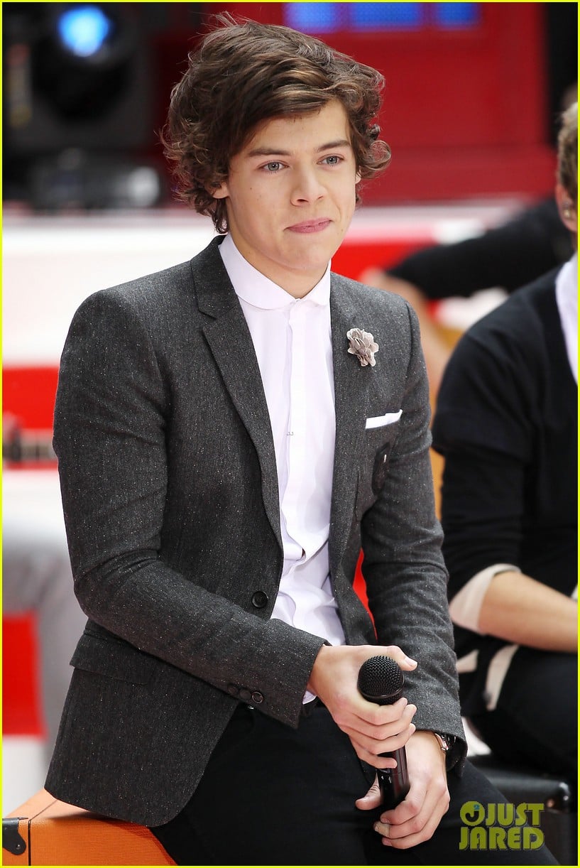 One Direction Announces 3D Concert Movie on 'Today Show': Photo 2756549 ...