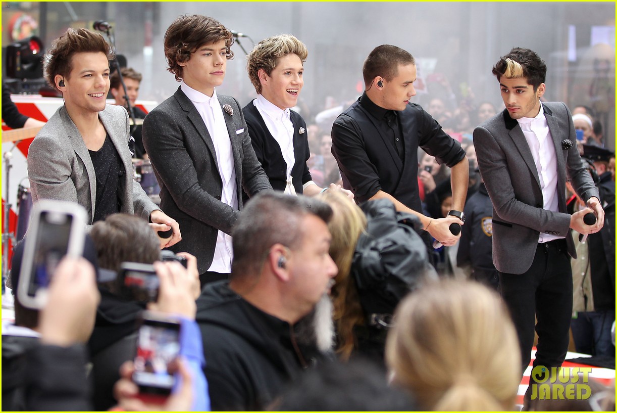 One Direction Announces 3D Concert Movie on 'Today Show': Photo 2756552 ...