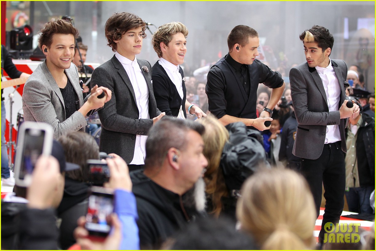 One Direction Announces 3D Concert Movie on 'Today Show': Photo 2756572 ...