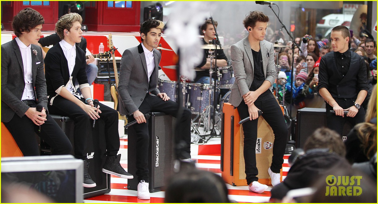 One Direction Announces 3D Concert Movie on 'Today Show': Photo 2756573 ...