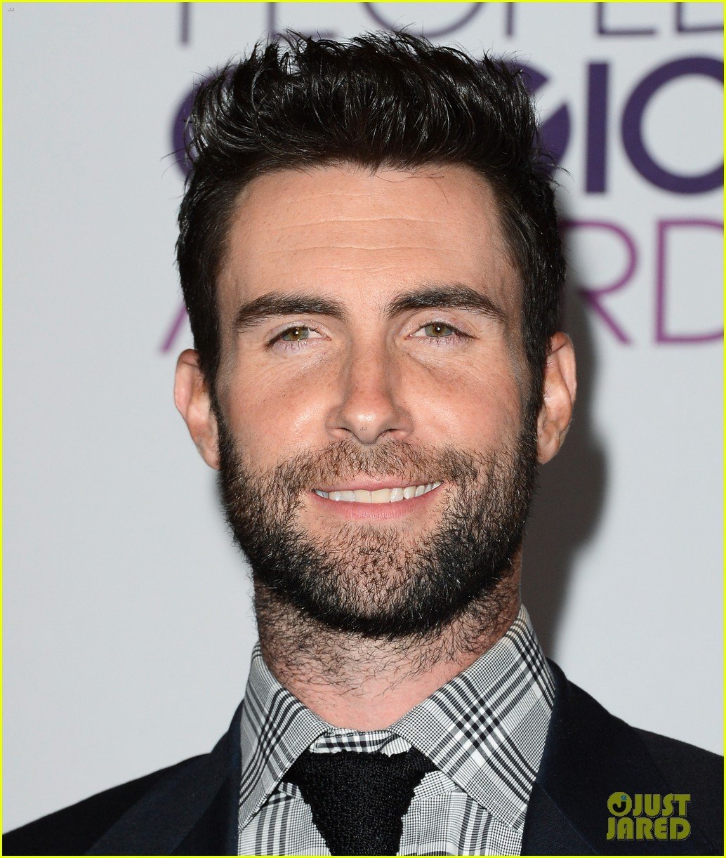 Adam Levine - People's Choice Awards 2013 Red Carpet: Photo 2787901 ...