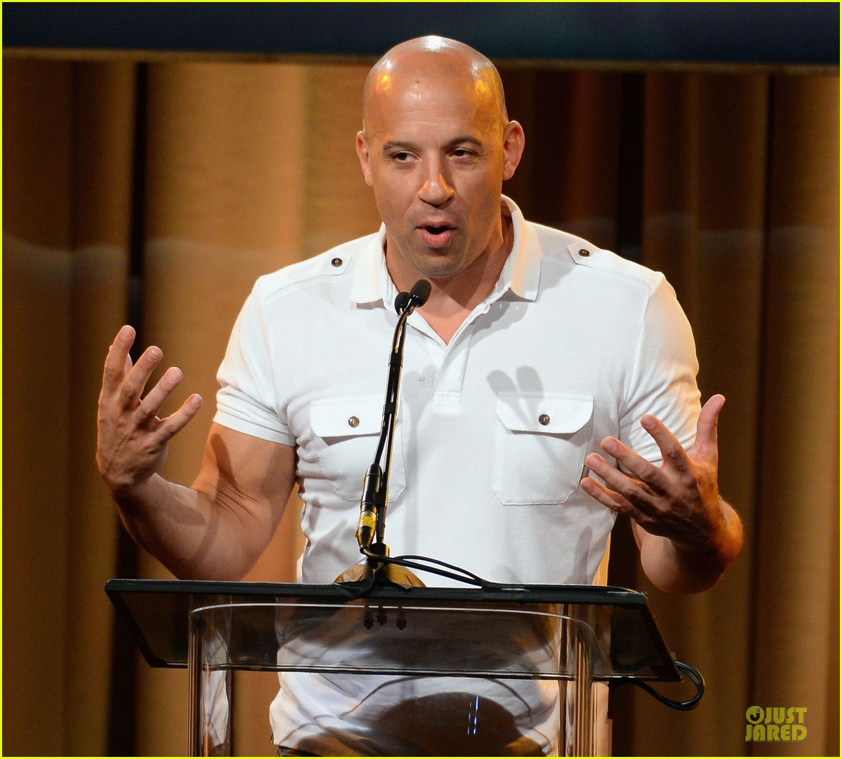 Vin Diesel & Vince Vaughn - HFPA Installation Luncheon 2013: Photo ...