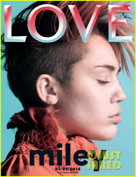 Miley Cyrus Flaunts Pink Mohawk on 'Love' Magazine Cover!: Photo ...