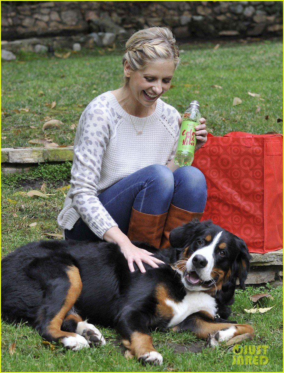 Sarah Michelle Gellar & Malin Akerman Sit on Santa's Lap!: Photo ...