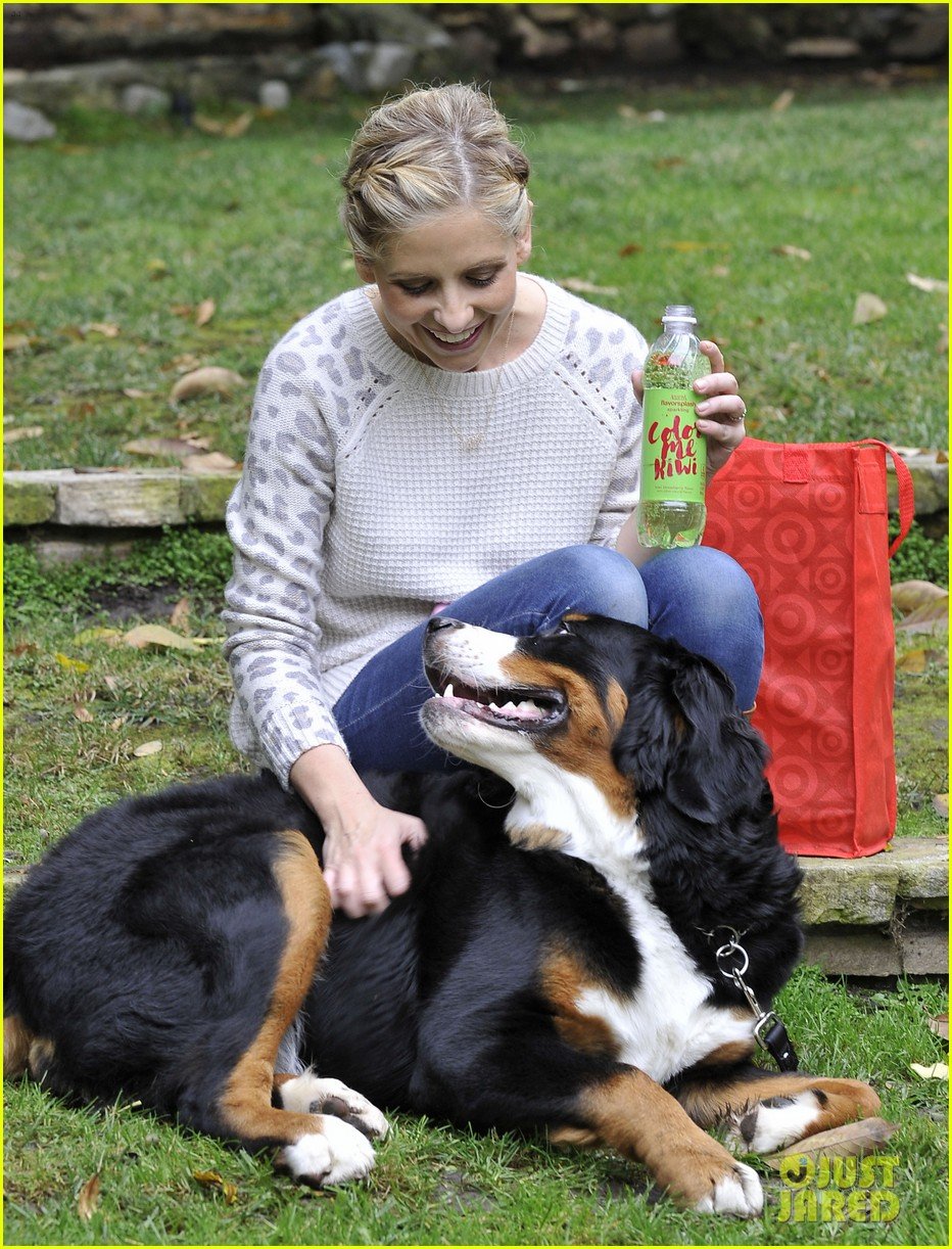 Sarah Michelle Gellar & Malin Akerman Sit on Santa's Lap!: Photo ...