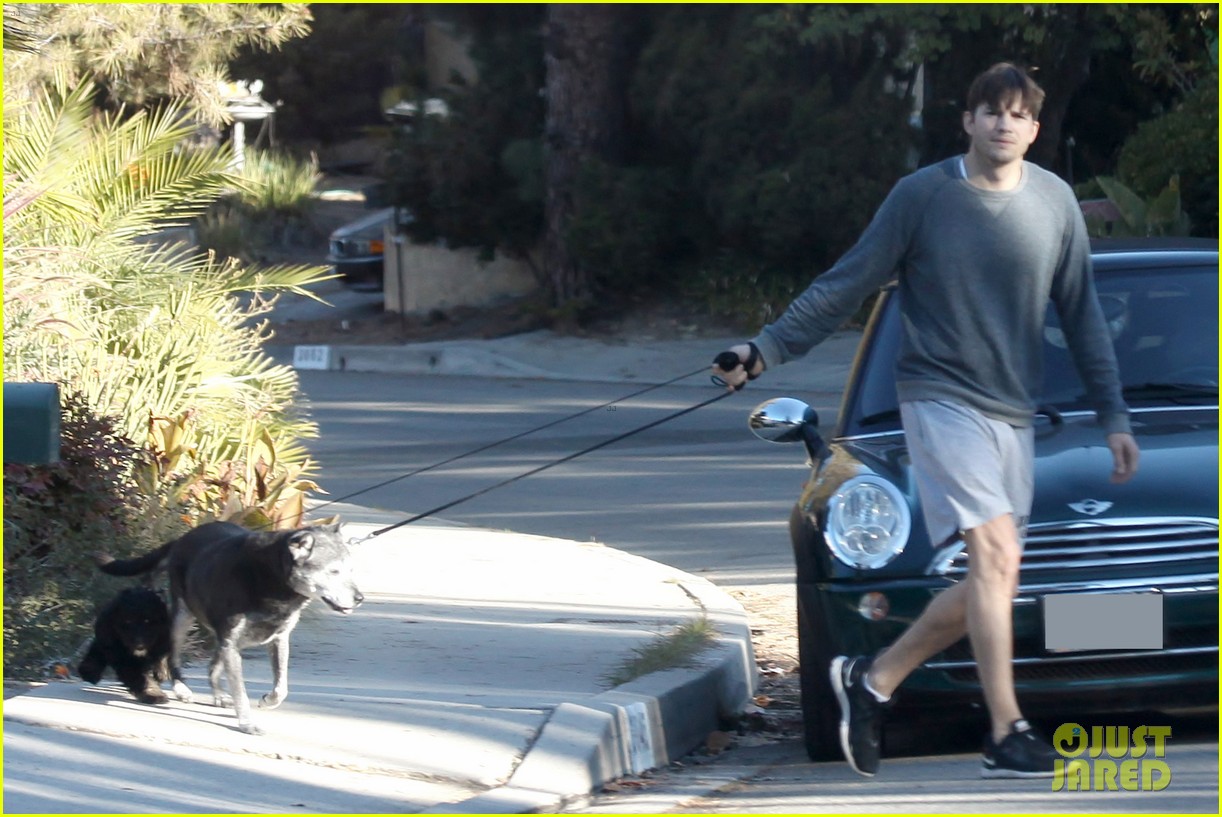 Ashton Kutcher: Sunday Morning Dog Duty: Photo 3023145 | Ashton Kutcher ...