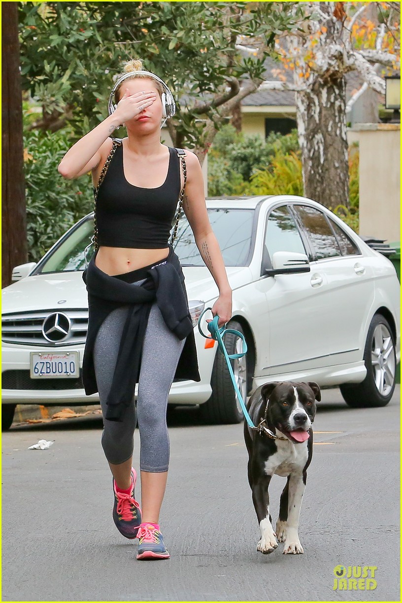 Miley Cyrus Bares Midriff While Walking Dog Mary Jane!: Photo 3024615 ...
