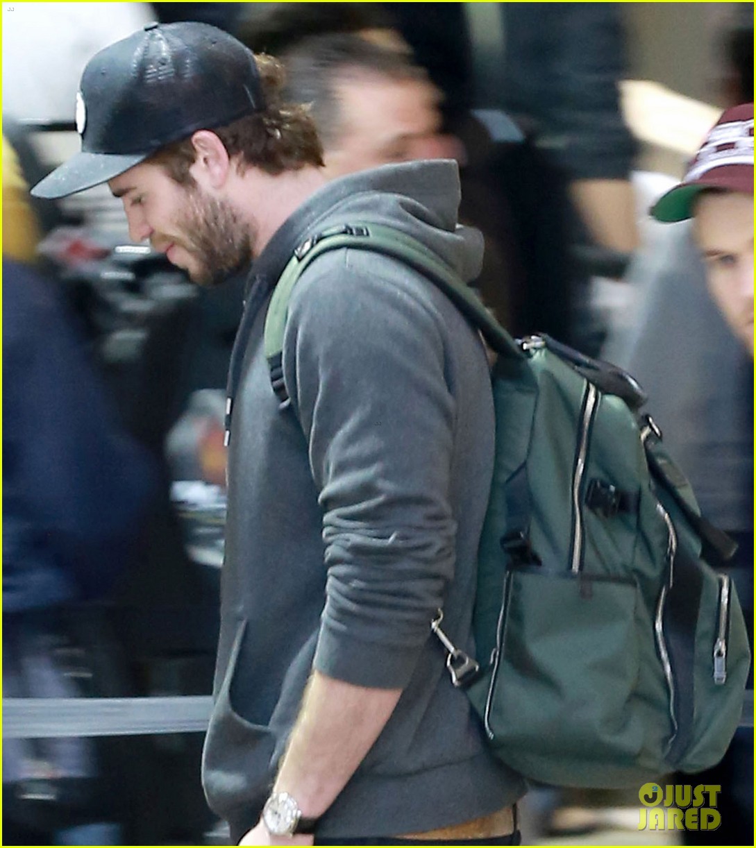 Liam Hemsworth: 'Catching Fire' Set to Surpass 'Iron Man 3 ...