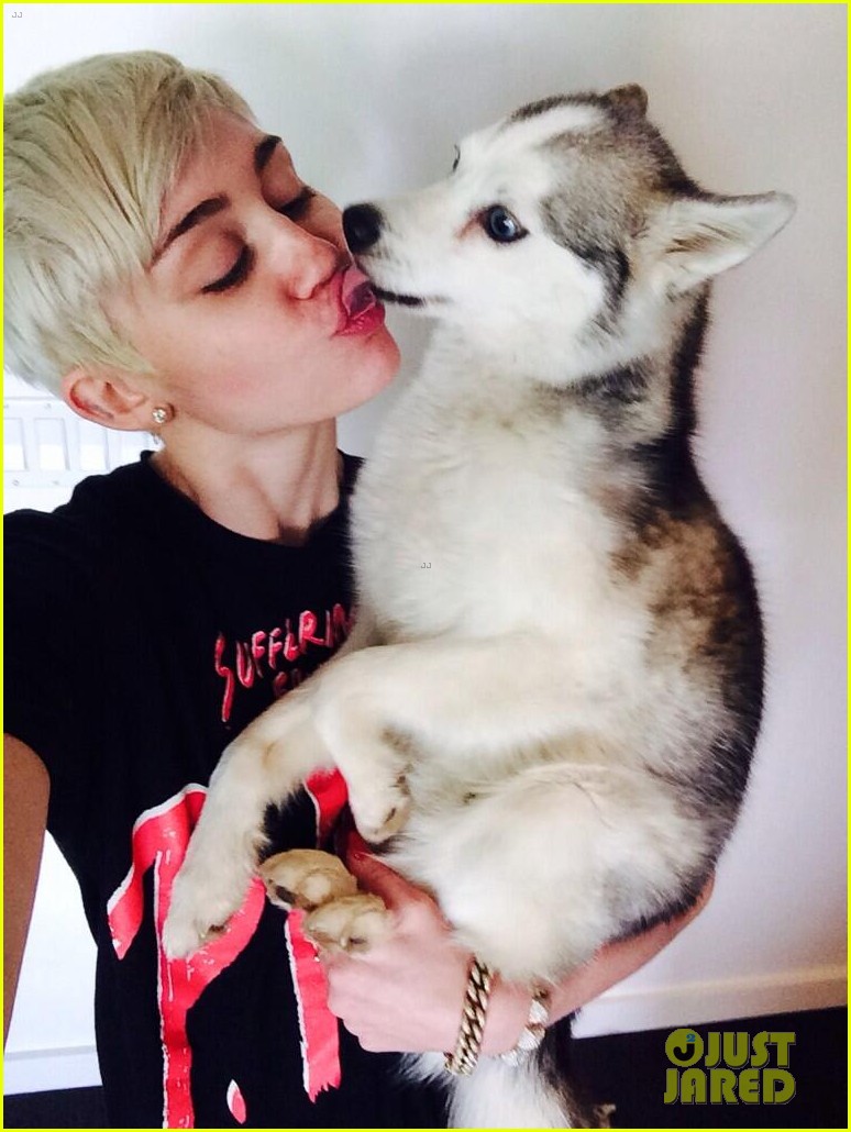 Miley Cyrus Gets Cute New Pup After Her Beloved Dog's Death: Photo ...