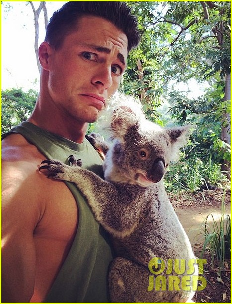 Colton Haynes' Giant Pecs Take Over This Shirtless Pic!: Photo 3099992 ...
