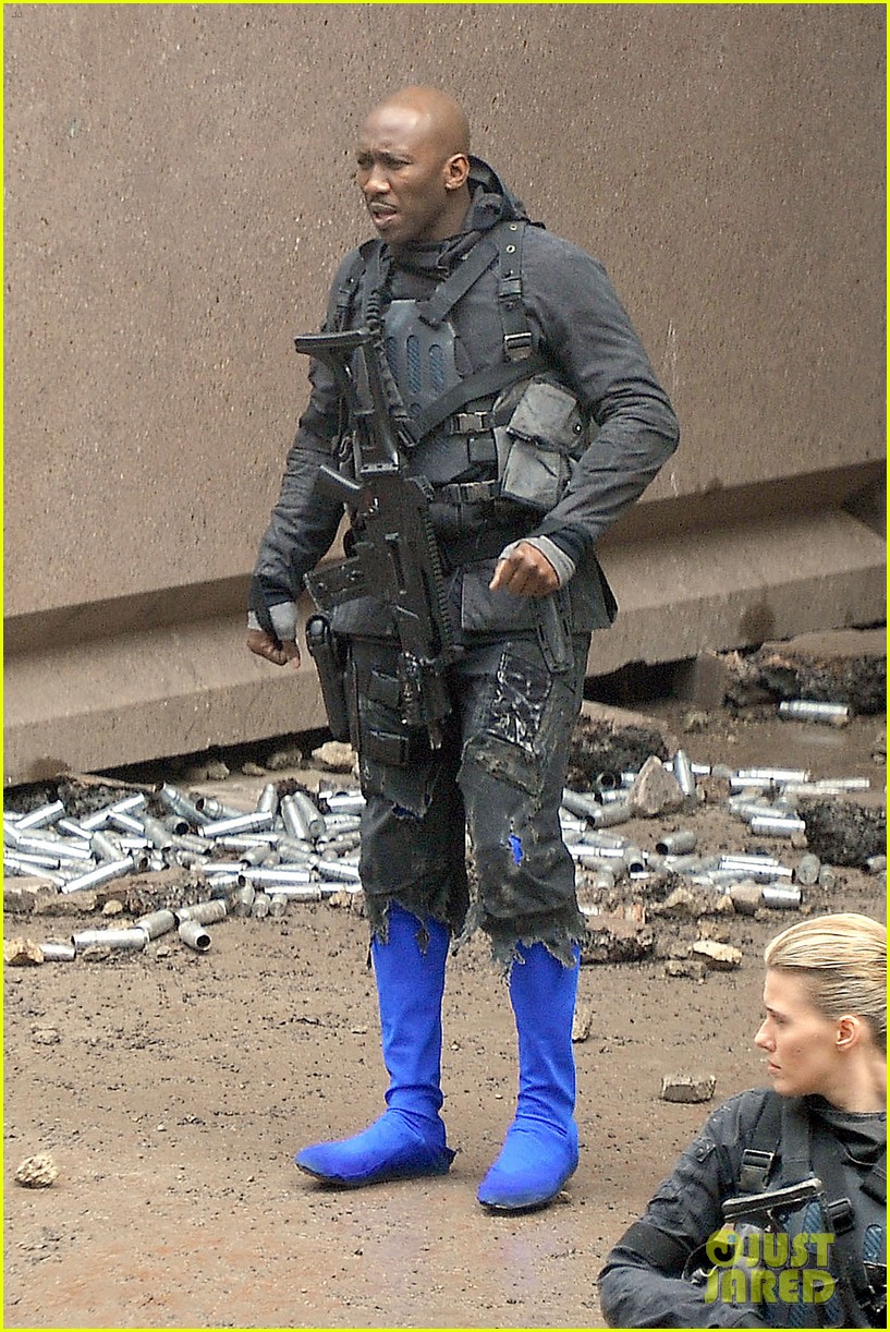 Jennifer Lawrence, Josh Hutcherson, & Liam Hemsworth Fight Back for ...