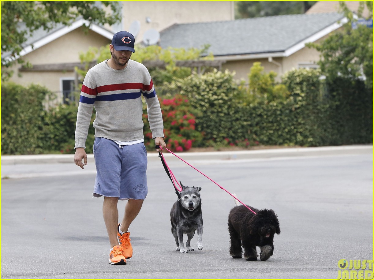 Ashton Kutcher Takes His Dogs For a Walk Without Mila Kunis!: Photo ...