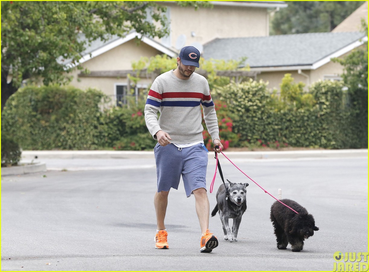 Ashton Kutcher Takes His Dogs For a Walk Without Mila Kunis!: Photo ...