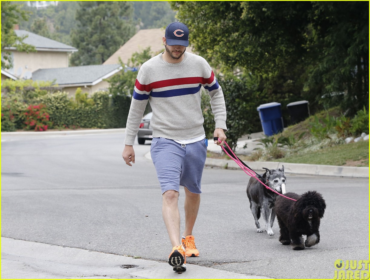 Ashton Kutcher Takes His Dogs For a Walk Without Mila Kunis!: Photo ...