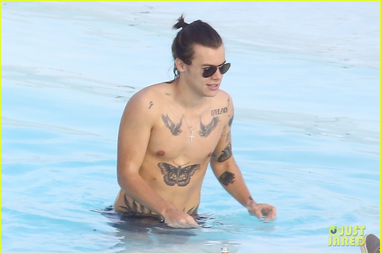 Harry Styles Almost Just Exposed His Little Harry at the Pool!: Photo ...
