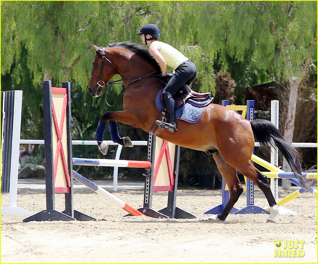 Kaley Cuoco Can't Stomach an Article About Killer Pitbulls: Photo ...