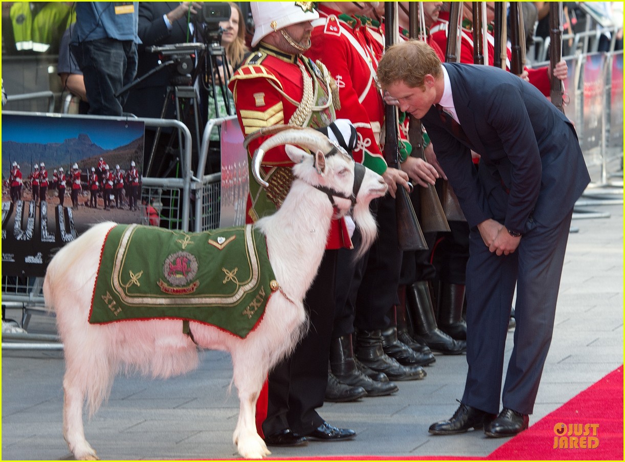 Prince Harry's Cute Interaction with a Goat Will Melt Your Heart - See ...