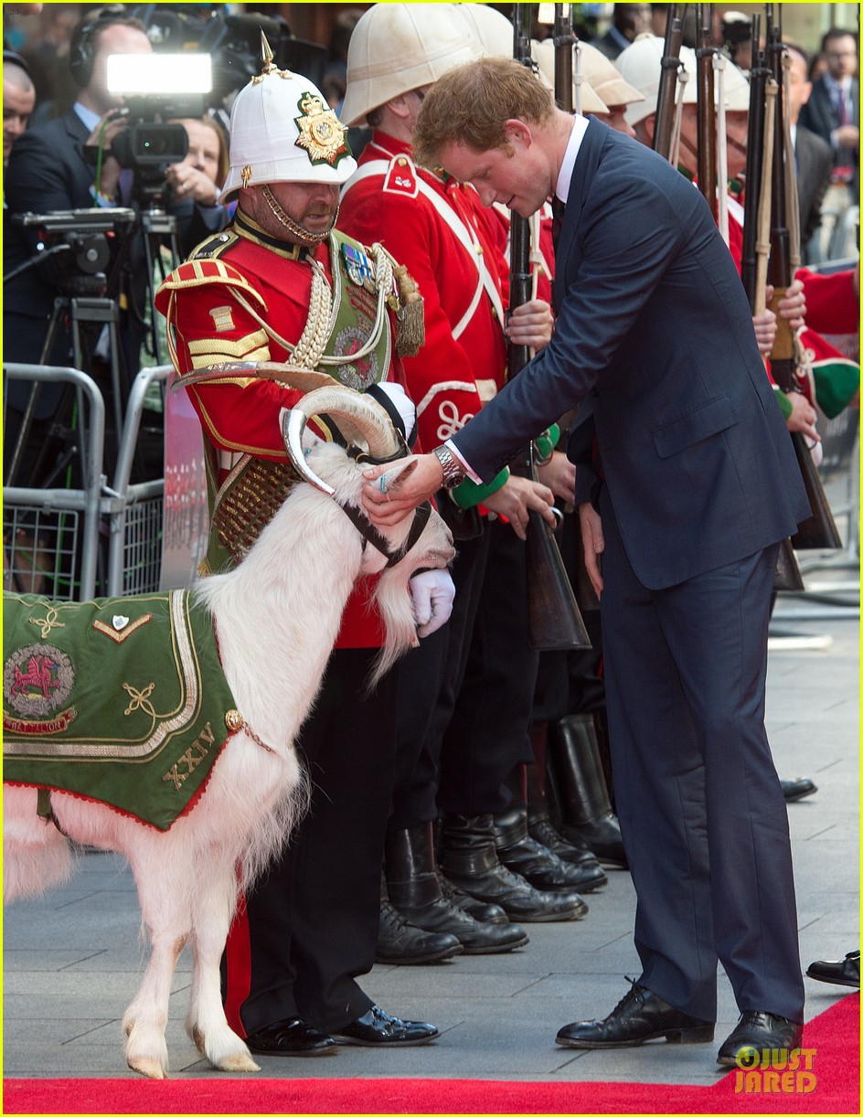 Prince Harry's Cute Interaction with a Goat Will Melt Your Heart - See ...