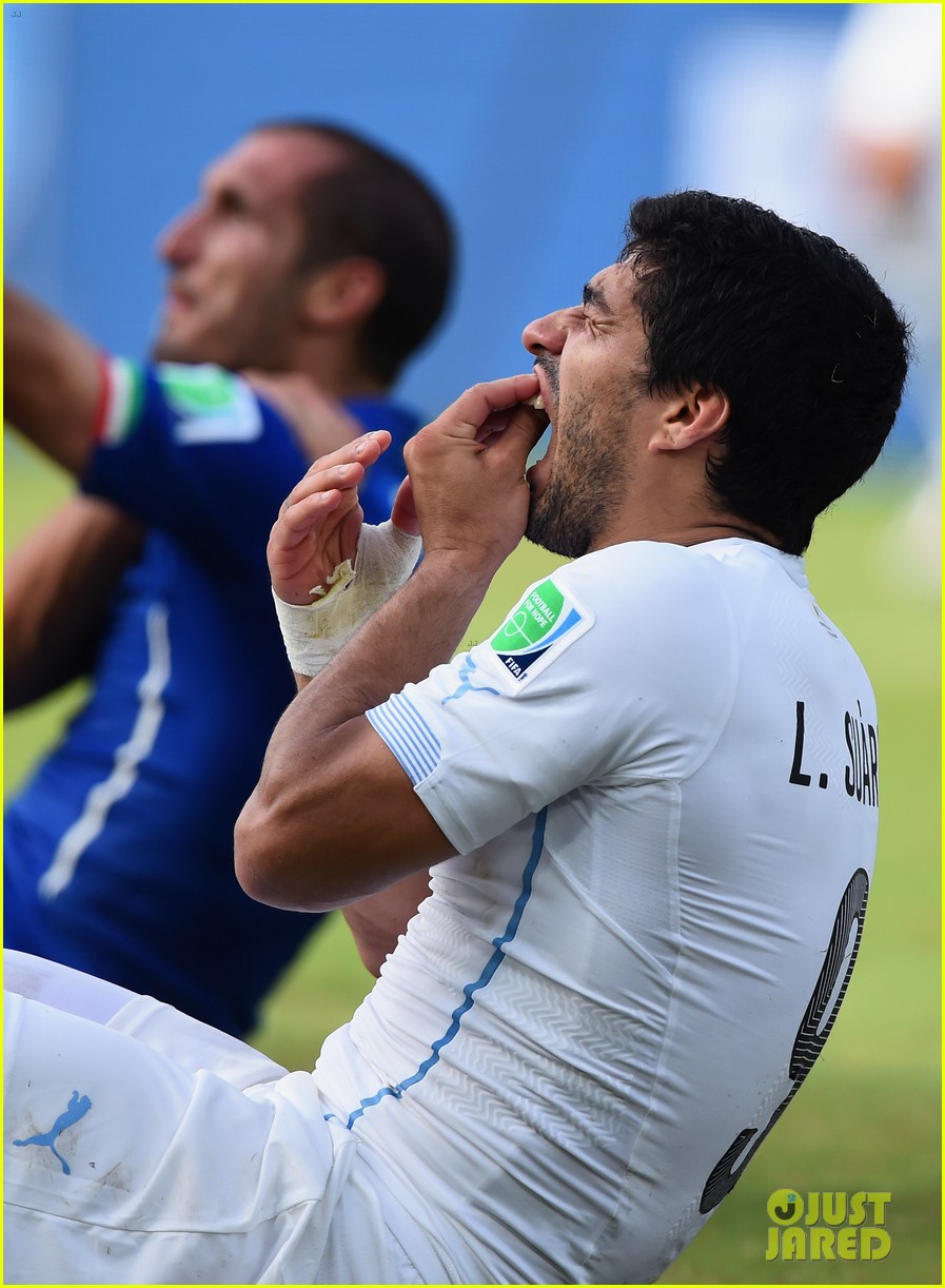 Luis Suarez Apologizes for Biting Giorgio Chiellini in World Cup: Photo ...
