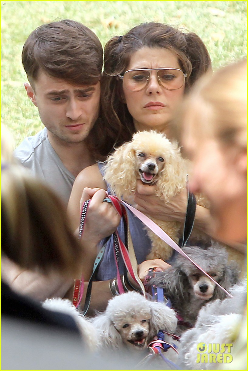 Daniel Radcliffe Handles Multiple Dogs on NYC 'Trainwreck' Set!: Photo ...