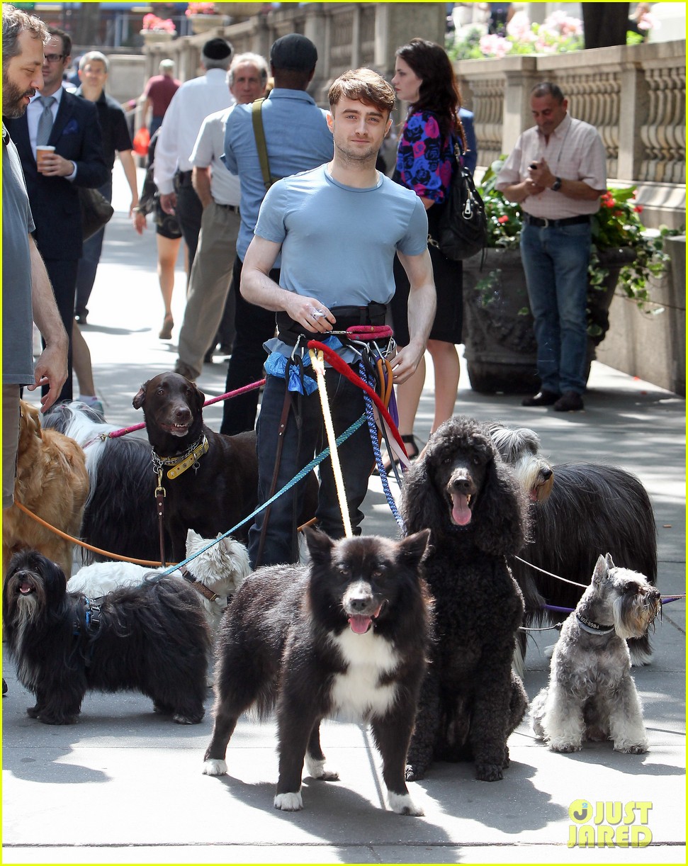 Daniel Radcliffe Handles Multiple Dogs on NYC 'Trainwreck' Set!: Photo ...