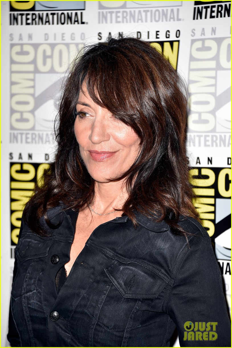 'Sons of Anarchy' & 'The Strain' Casts Present Their Shows at Comic-Con ...