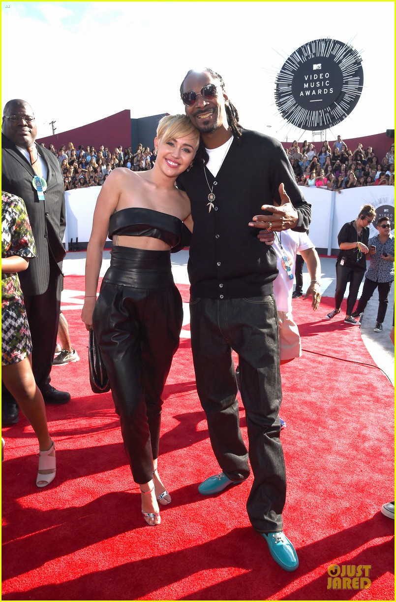 Miley Cyrus Bares Midriff on the MTV VMAs Red Carpet 2014: Photo ...