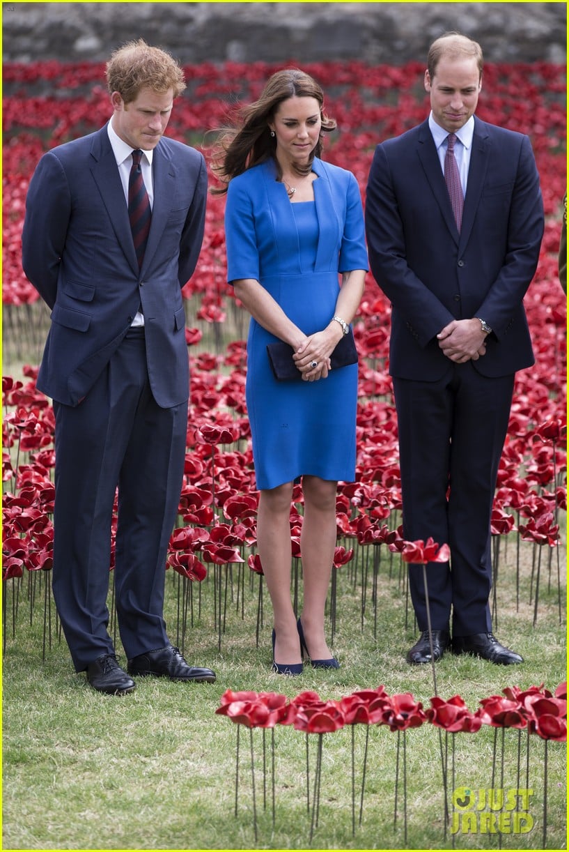 Kate Middleton & Prince William Visit Stunning Ceramic Poppy ...