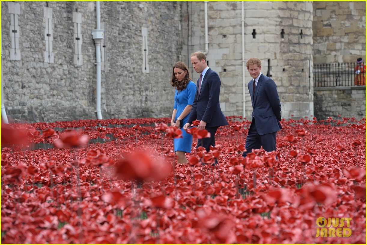 Kate Middleton & Prince William Visit Stunning Ceramic Poppy ...