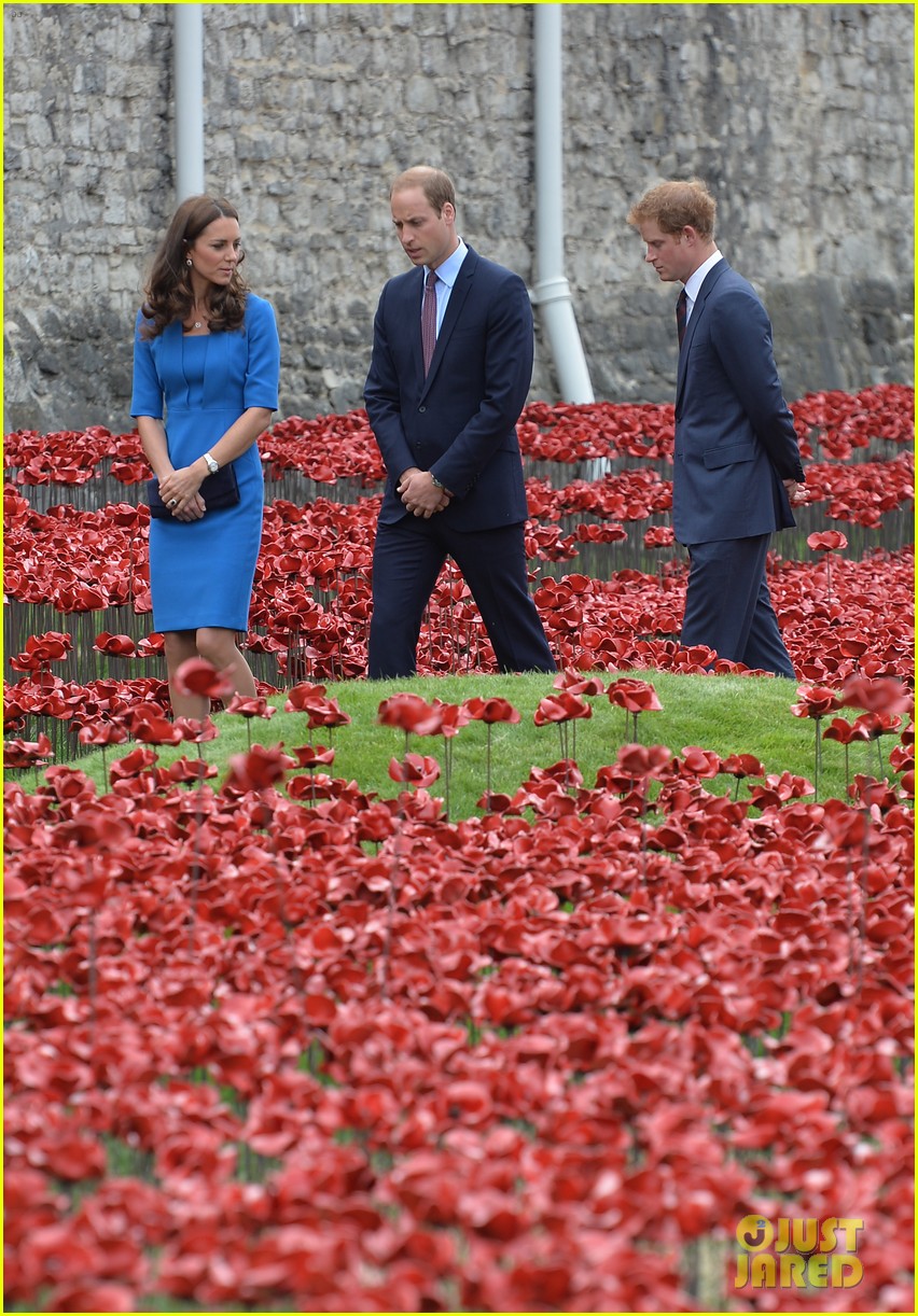Kate Middleton & Prince William Visit Stunning Ceramic Poppy ...
