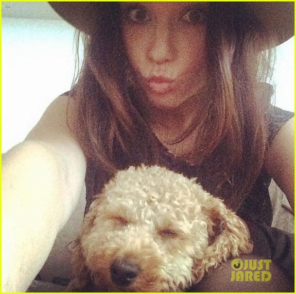 Who is Catherine Harding? Meet Jude Law's Pregnant Ex!: Photo 3220951 ...