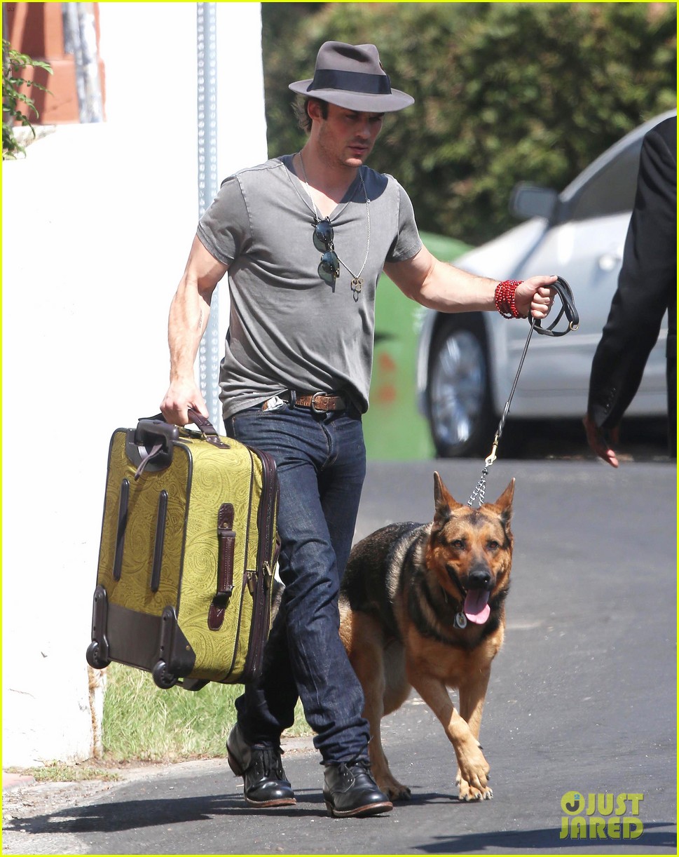 Ian Somerhalder & Nikki Reed Fly Away Together with Dog Ira: Photo ...