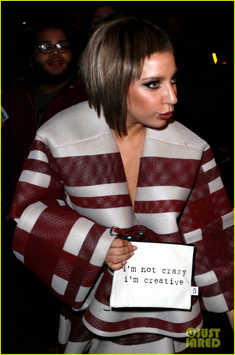 Lady Gaga Holds a Sign Saying 'I'm Not Crazy, I'm Creative': Photo ...