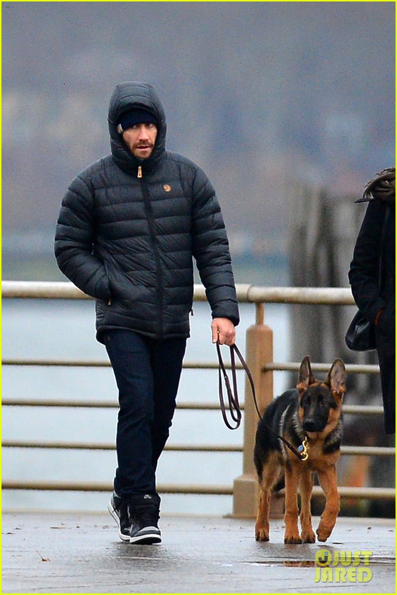 Jake Gyllenhaal Slaps David Letterman Between The Legs, Calls it 'The ...