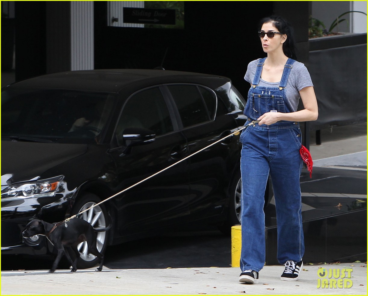 Sarah Silverman Doesn't Think Chelsea Handler's Topless Pic is ...