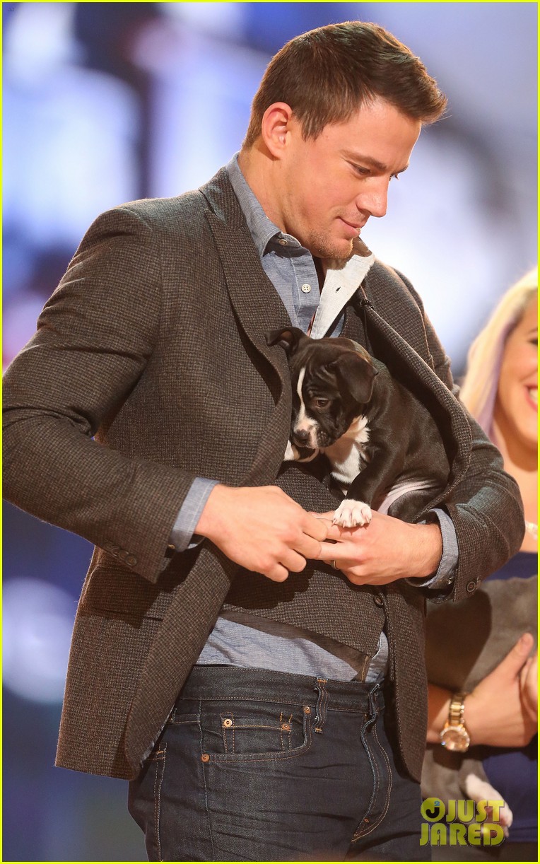 Channing Tatum Cradles a Rescue Puppy & It's Making Us Melt!: Photo ...