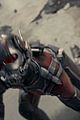 Paul Rudd Displays Ripped Six Pack Abs in 'Ant-Man' Trailer!: Photo ...