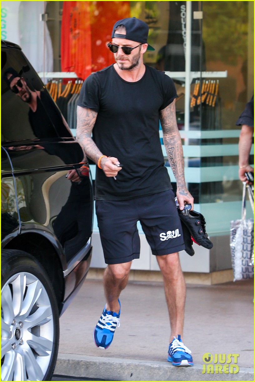 David Beckham Cuddling With His Dog is the Cutest Thing: Photo 3343949 ...