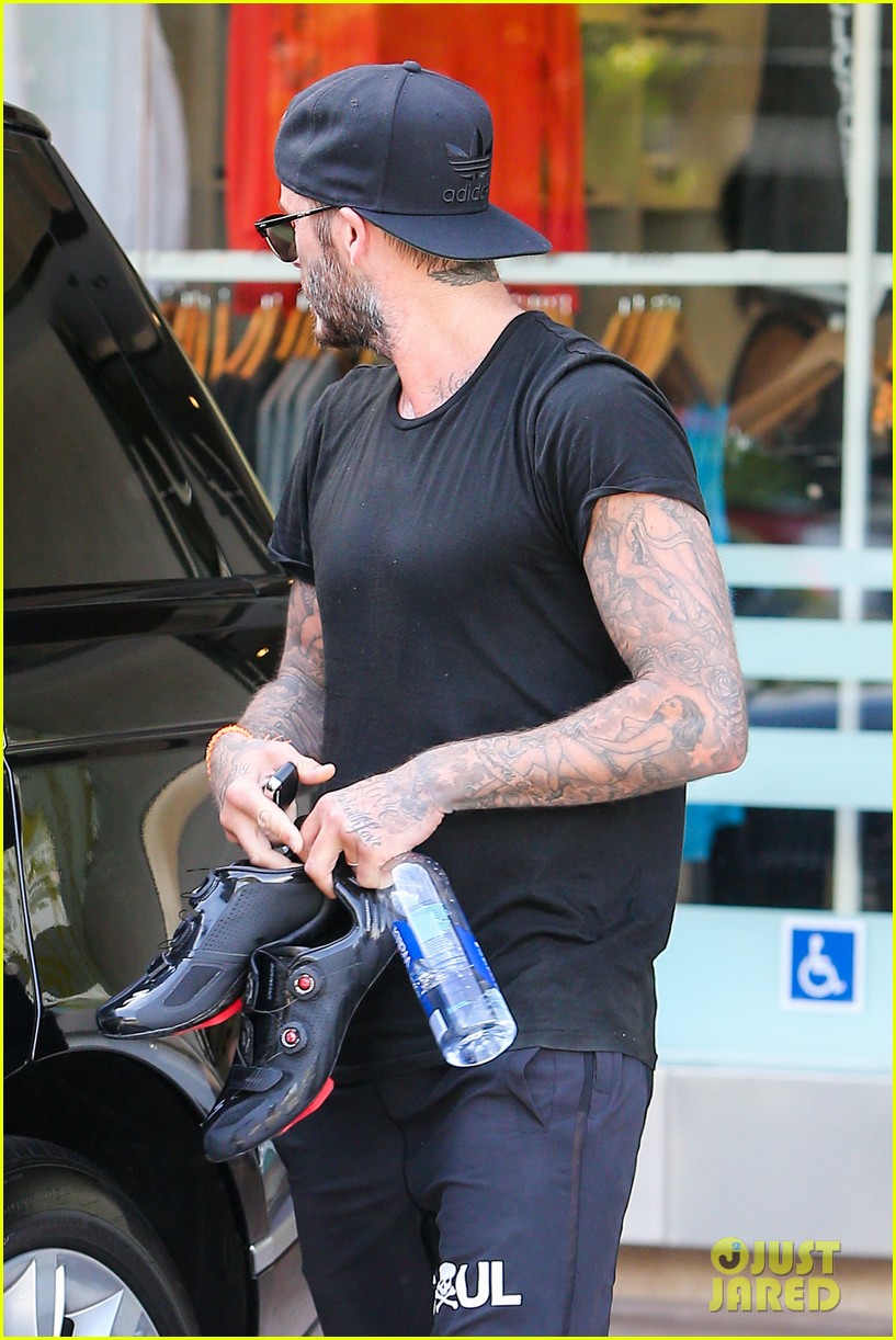 David Beckham Cuddling With His Dog is the Cutest Thing: Photo 3343953 ...