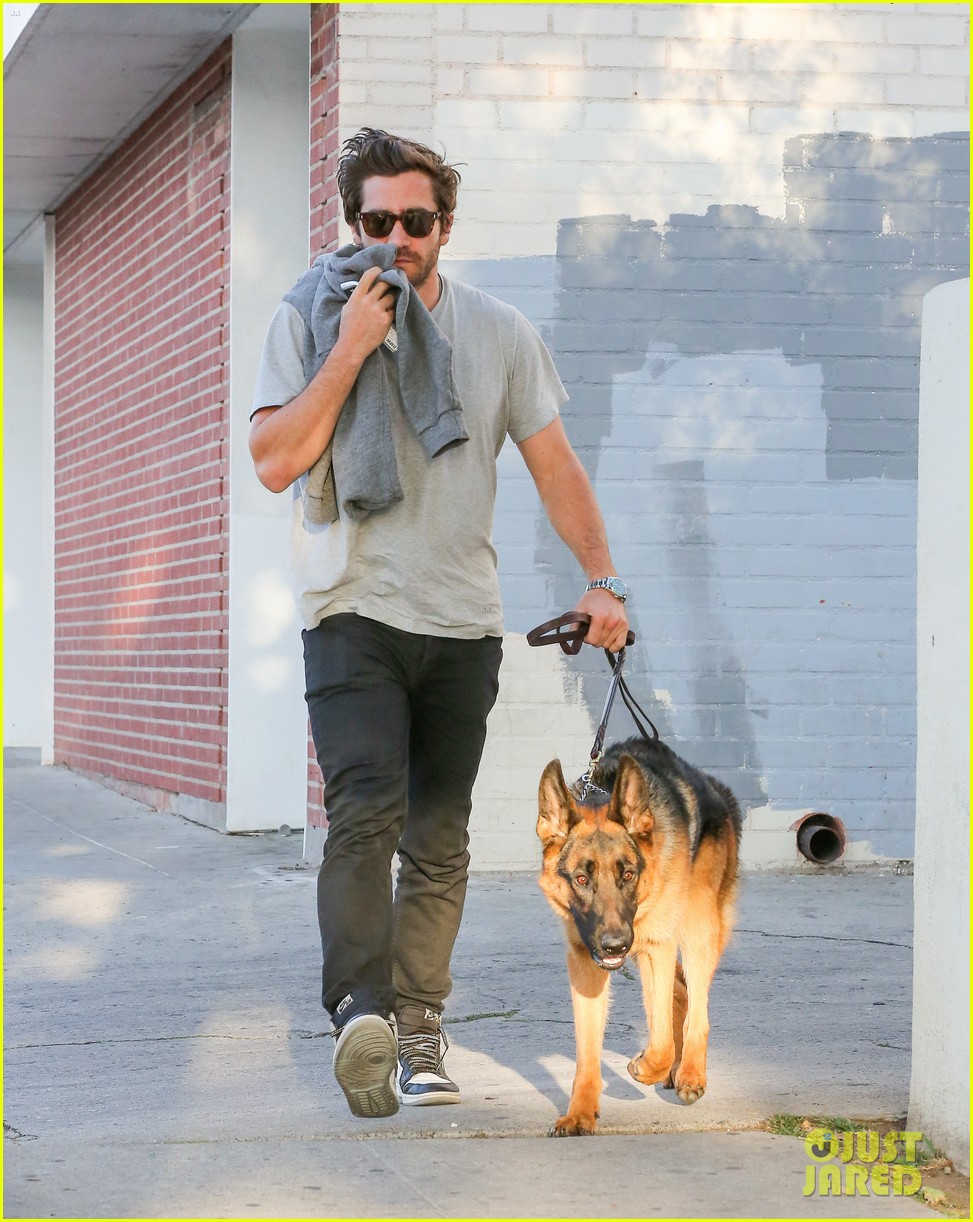 Jake Gyllenhaal Did 2,000 Sit-Ups a Day for 'Southpaw' Training: Photo ...