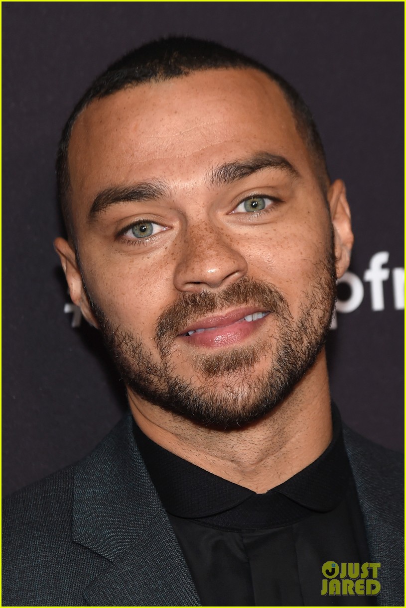 Ellen Pompeo Introduces Mireille Enos to Shondaland at ABC Upfront 2015 ...