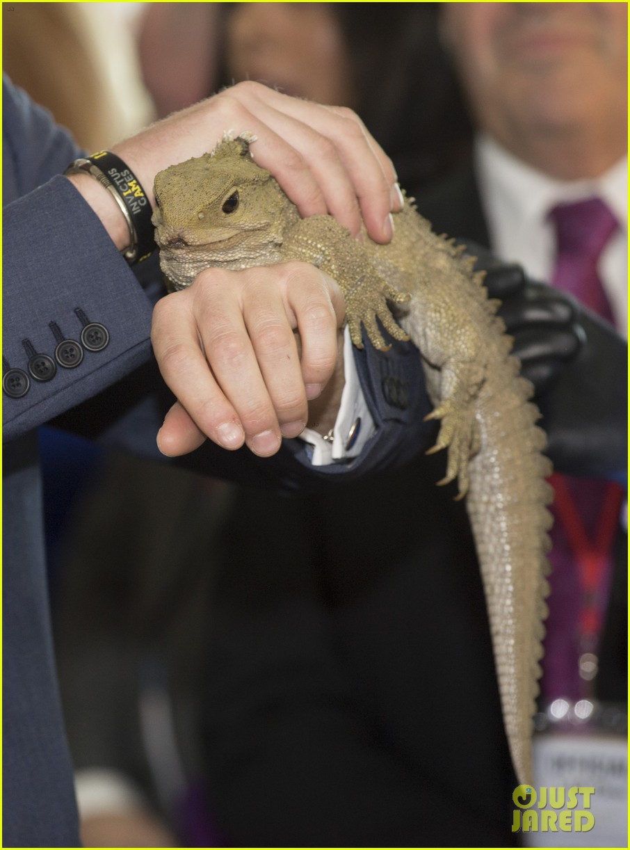 Prince Harry Meets 100-Year-old Lizard in New Zealand: Photo 3366637 ...
