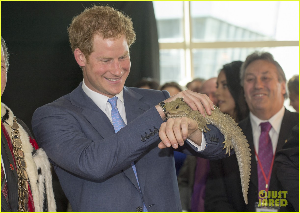 Prince Harry Meets 100-Year-old Lizard in New Zealand: Photo 3366638 ...
