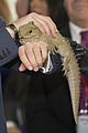 Prince Harry Meets 100-Year-old Lizard in New Zealand: Photo 3366636 ...