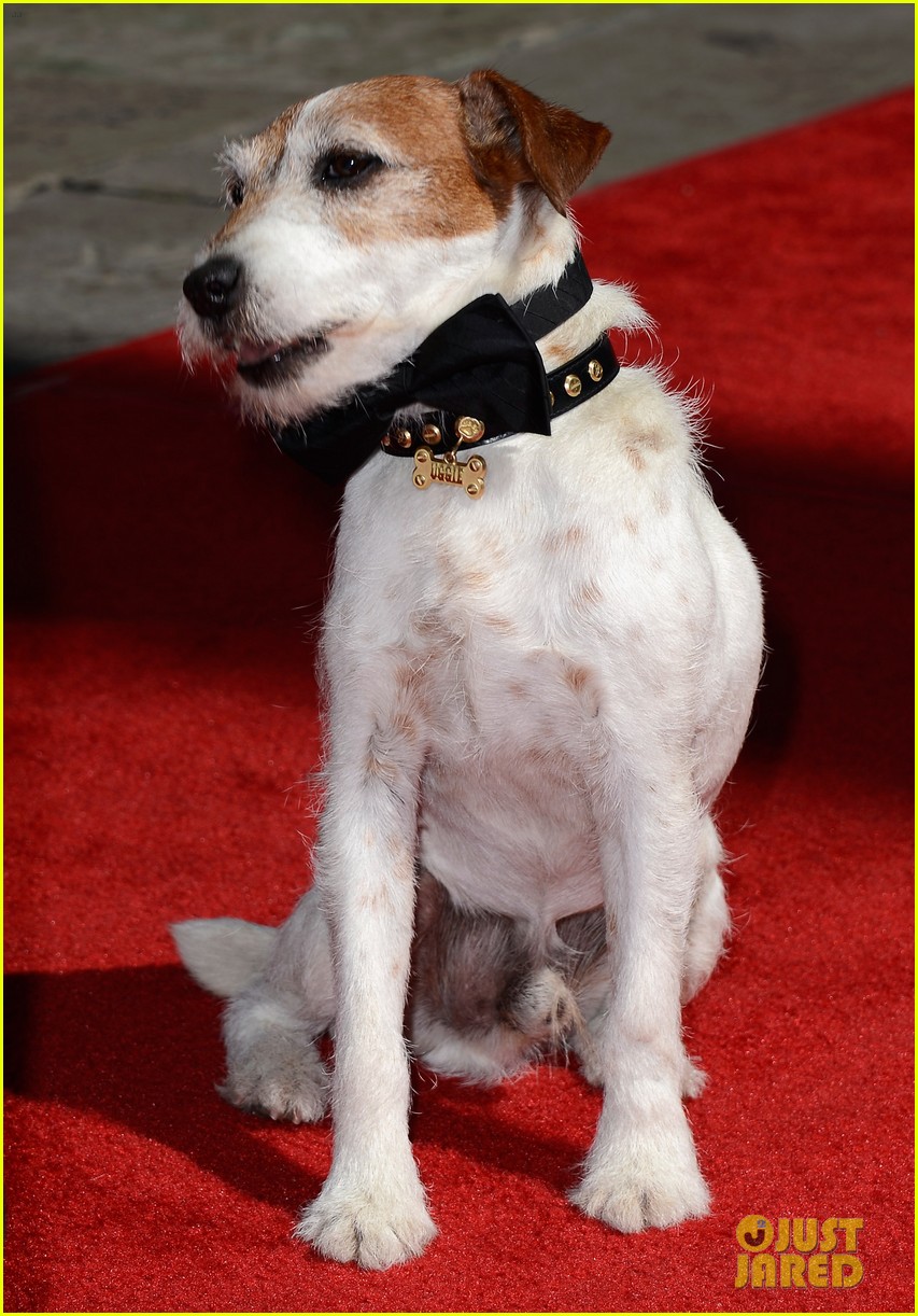 Uggie the Dog Dead - 'The Artist' Star Put to Sleep at Age 13: Photo ...