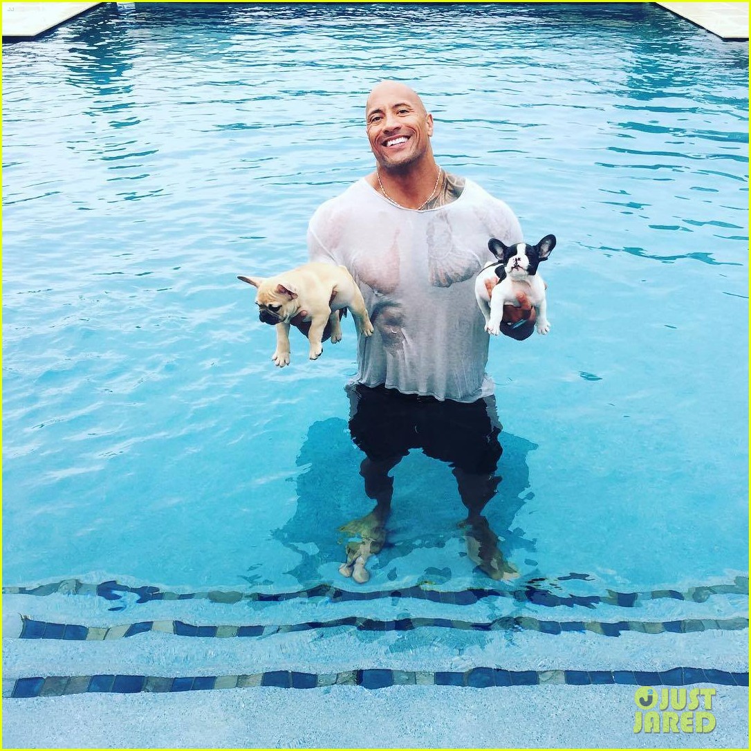 The Rock Jumps in Pool Fully Clothed to Save His Puppy!: Photo 3454711 ...