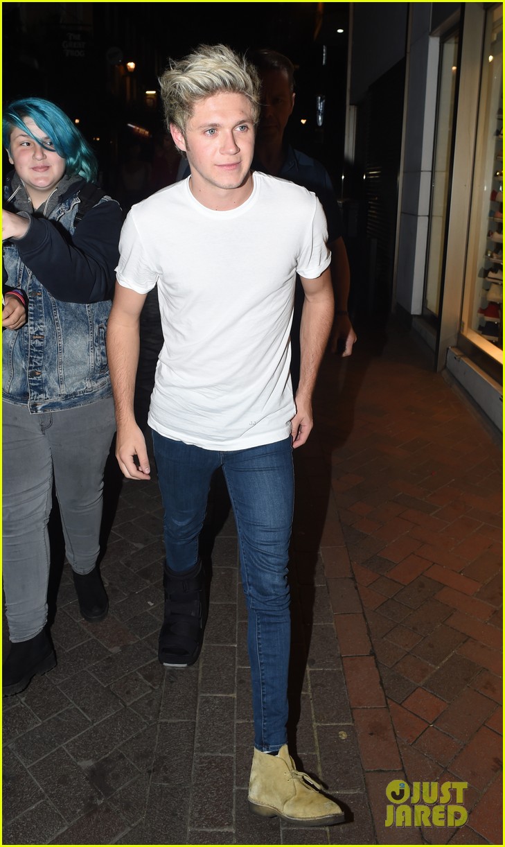 Niall Horan Calls Out Paparazzi For Being Rude To One Direction Fans ...