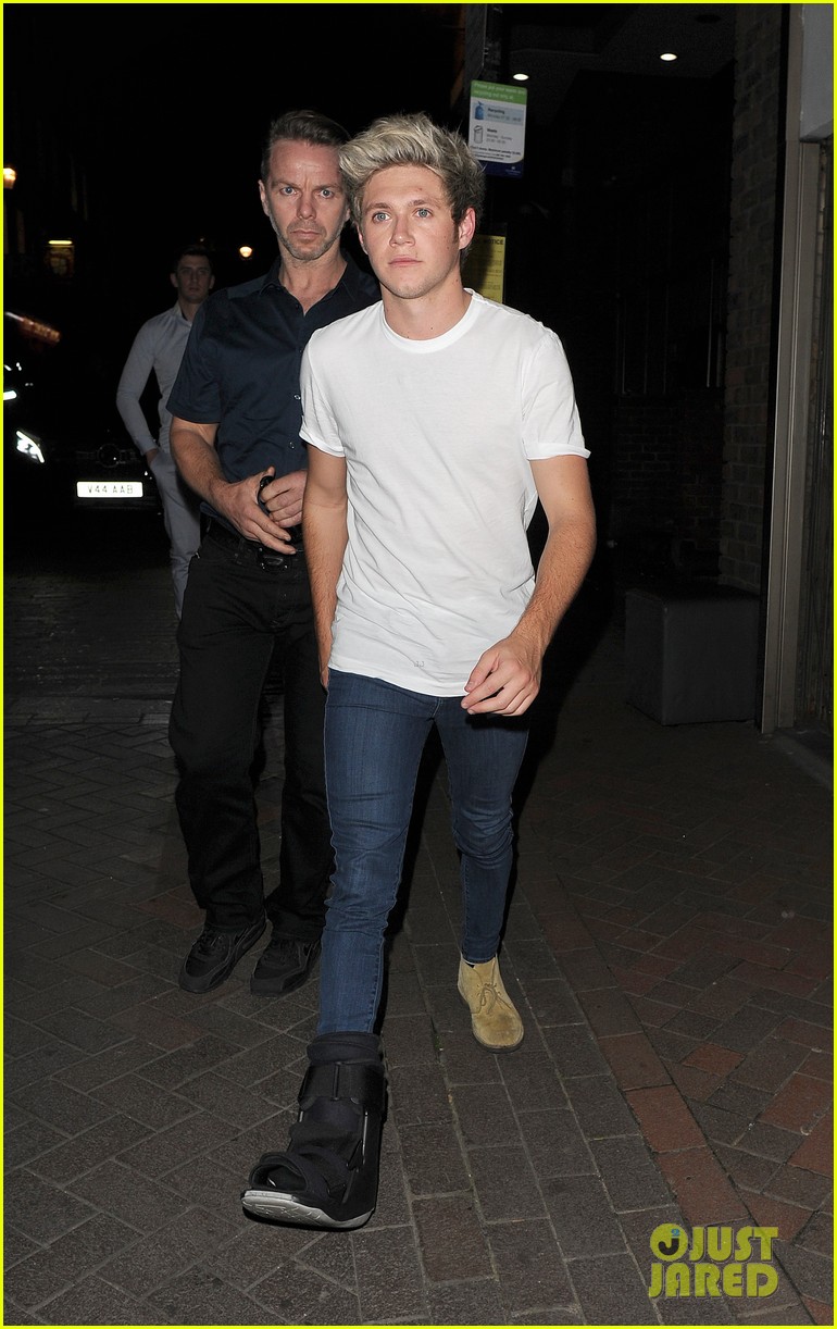 Niall Horan Calls Out Paparazzi For Being Rude To One Direction Fans ...