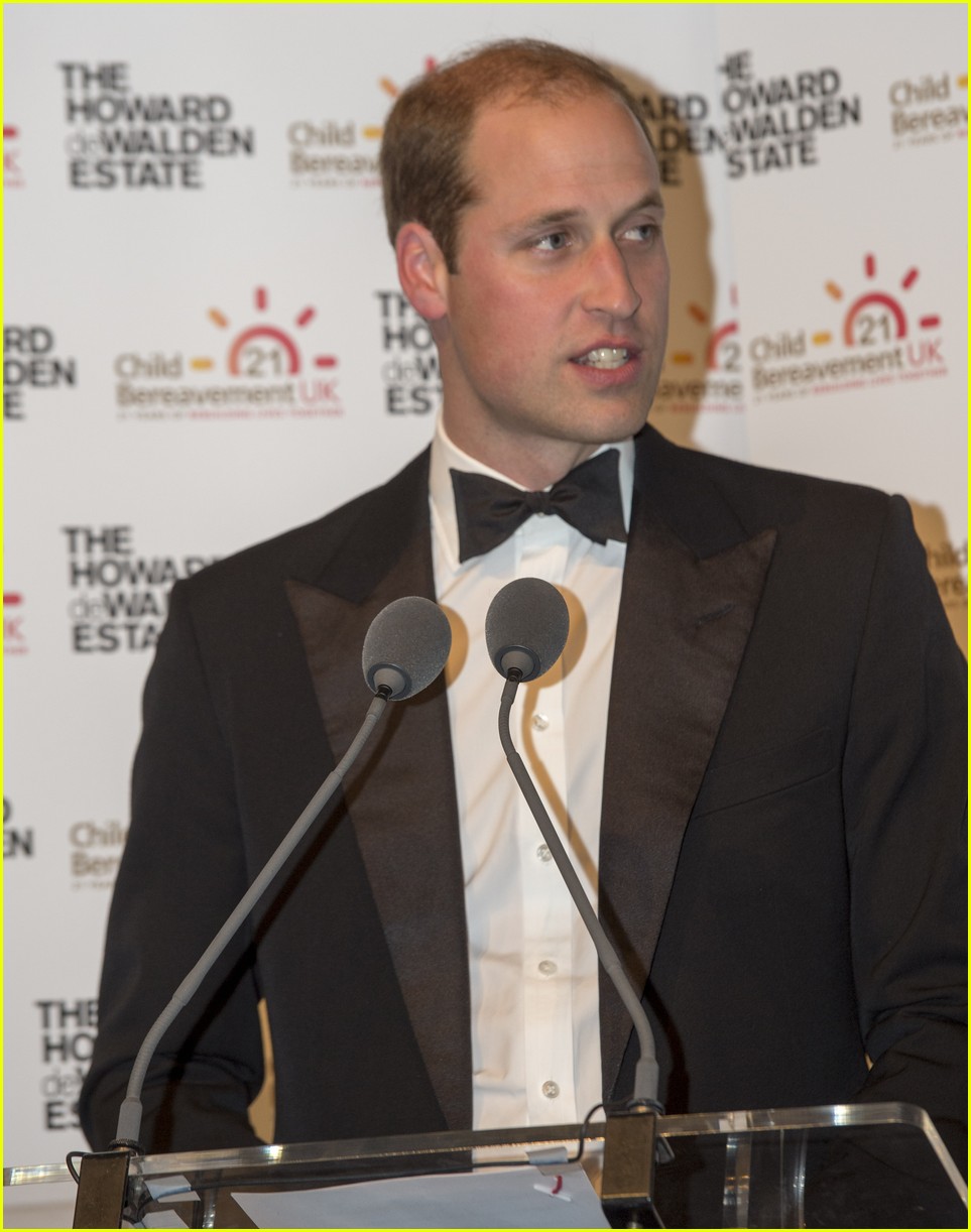 Prince William Discusses the Painful Grief from His Mom's Death: Photo ...