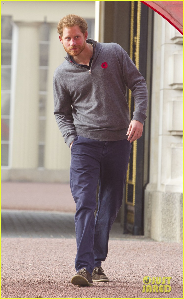 Prince Harry Greets 'Walking Wounded' After 1000-Mile Trek: Photo ...